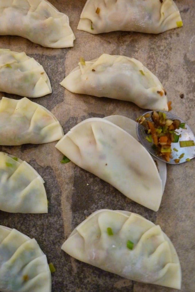 Mushroom & Leek Gyoza Dumpling Recipe: Vegan